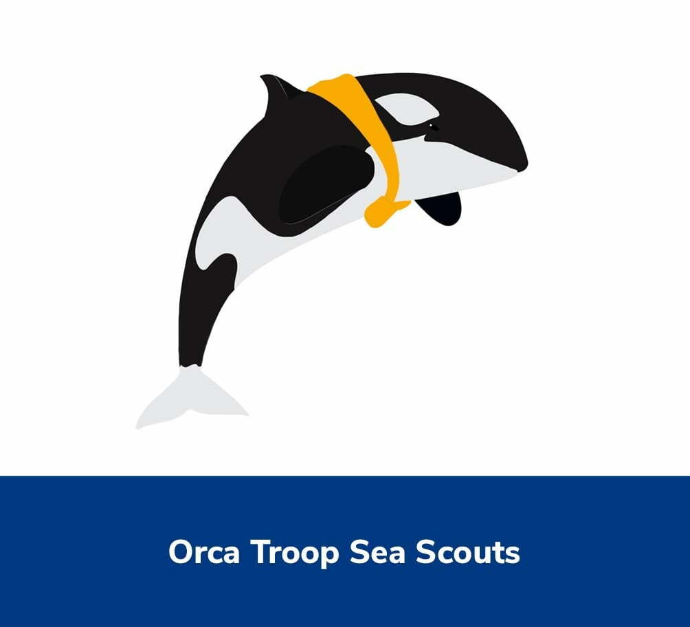 Bishopstoke Sea Scouts - Sea Scouts